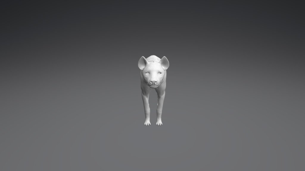 Spotted Hyena Model - 3D model by opellisms [1d85d66] - Sketchfab