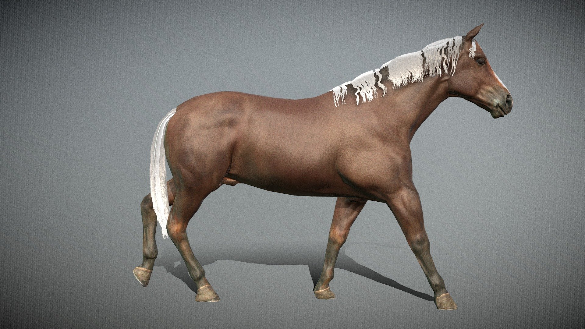 Horse Walk-cycle animated - Buy Royalty Free 3D model by aaokiji ...