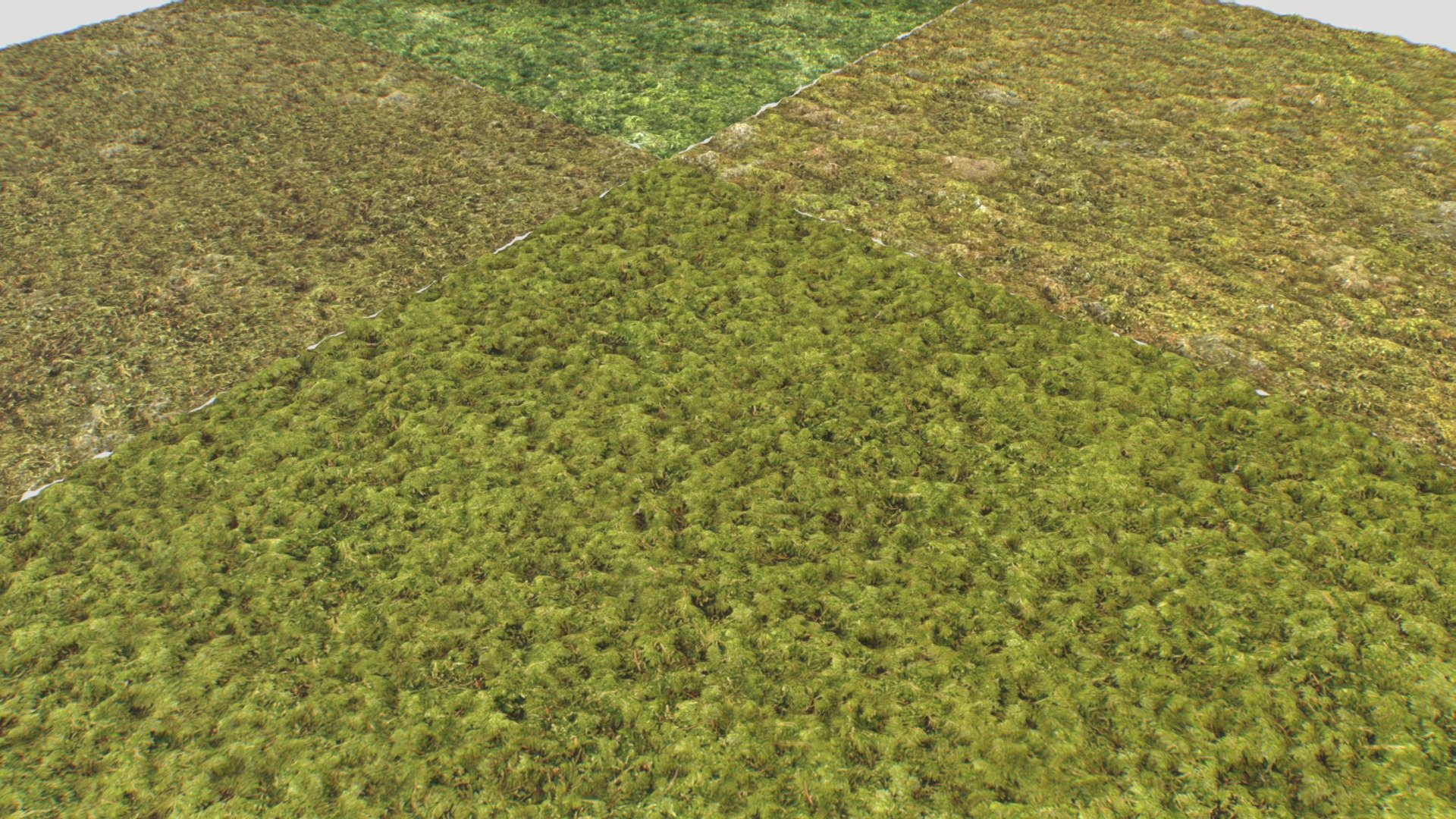 Moss Textures Pack 1 - Buy Royalty Free 3D model by 32cm [1d97240 ...