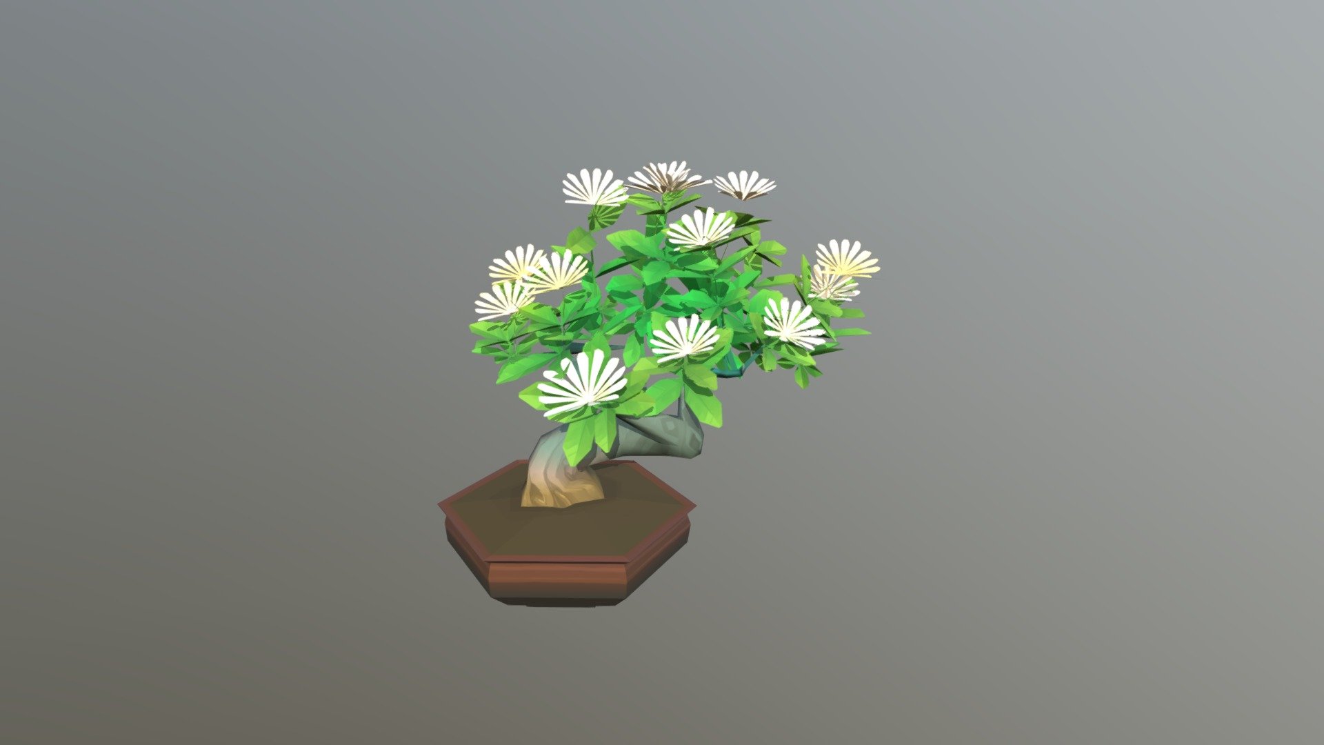 Plant - 3D model by peiling [1d9ce69] - Sketchfab