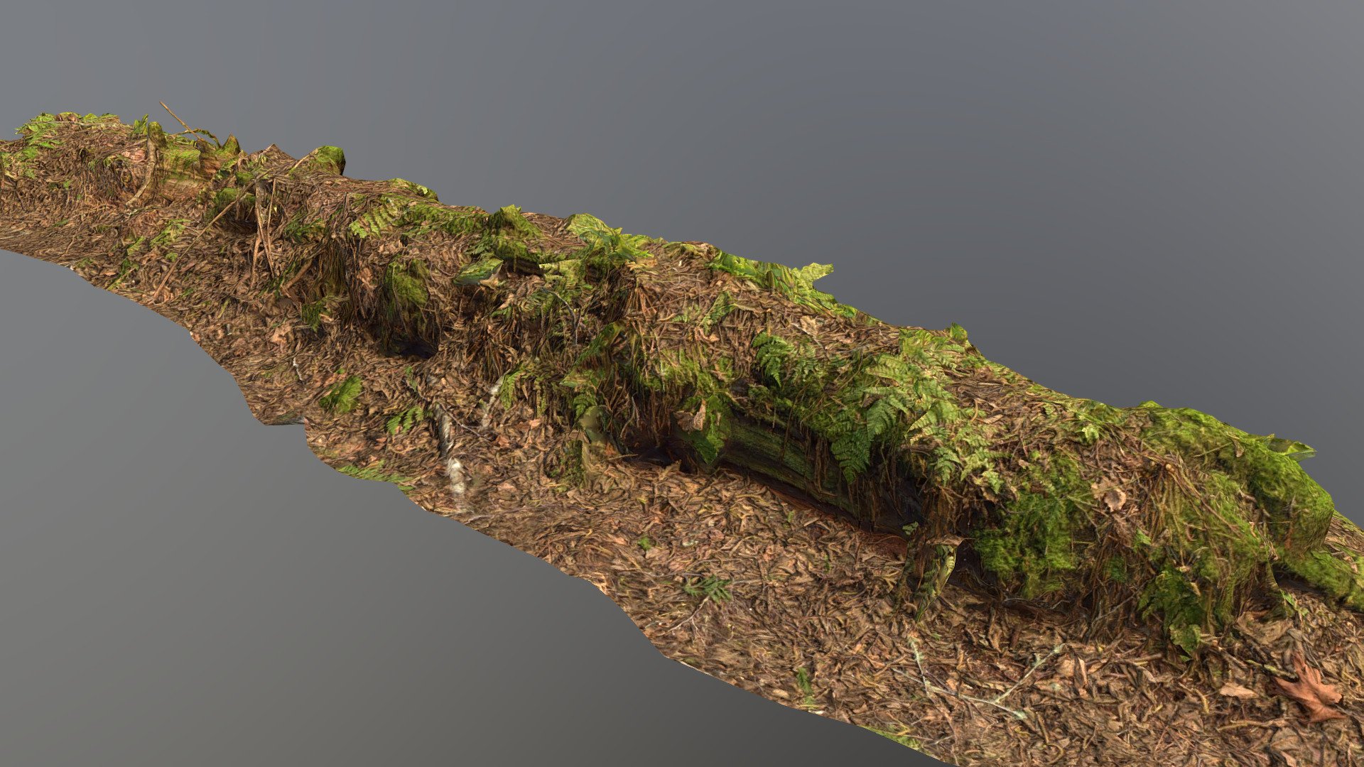Fallen Tree - 3D model by peter54 [1d9f3d0] - Sketchfab