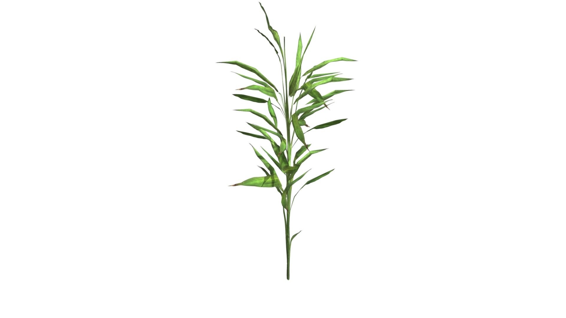 Switch Cane Plant #05 - Buy Royalty Free 3D model by meshshape [1da83b3 ...