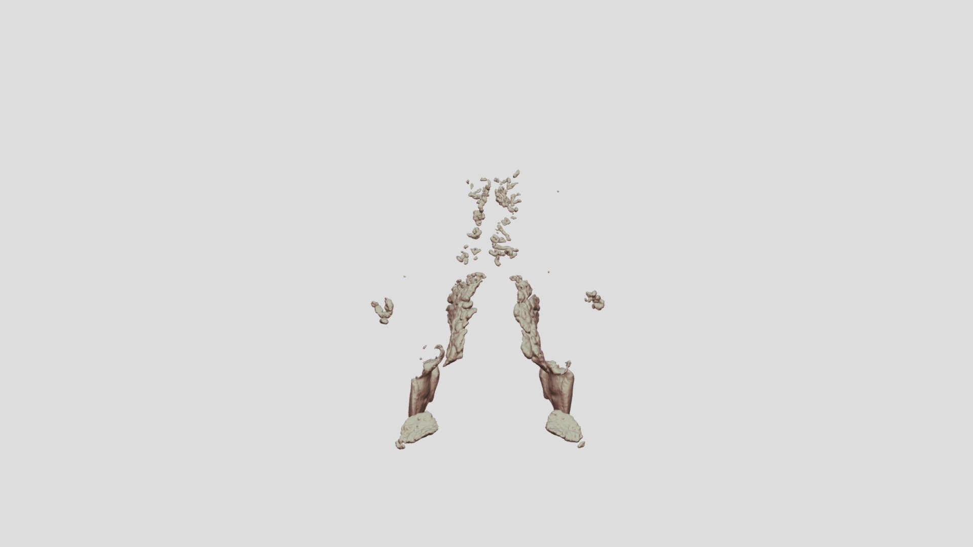Skeleton of Xenopus laevis (NF stage 53) - Download Free 3D model by ...