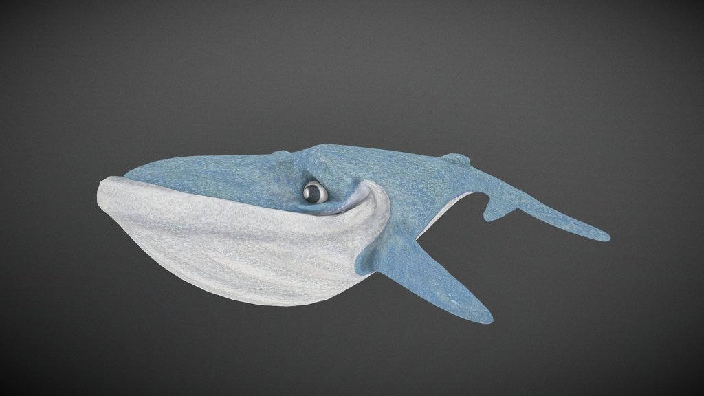 Fish - A 3D model collection by sergioatpeixoto - Sketchfab
