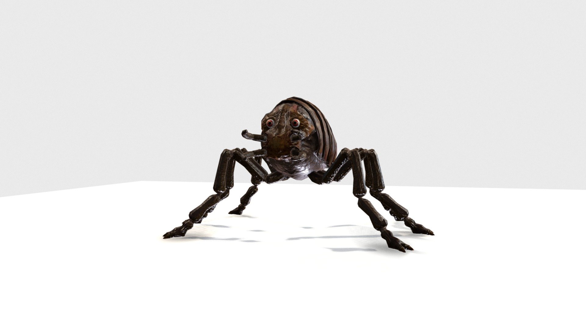 Spider Animated - 3D model by Nikolay Fedorov (@tomich516) [1daec1a ...