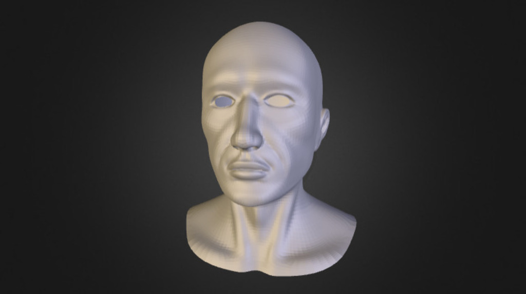 Natural Head Retopology - 3D model by JoshLagerwey (@joshinitalics ...