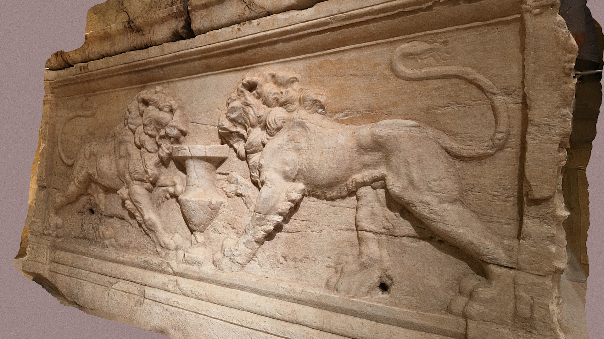 Lions - Roman Era - 3D model by moe_ali_vr [1db5aa5] - Sketchfab