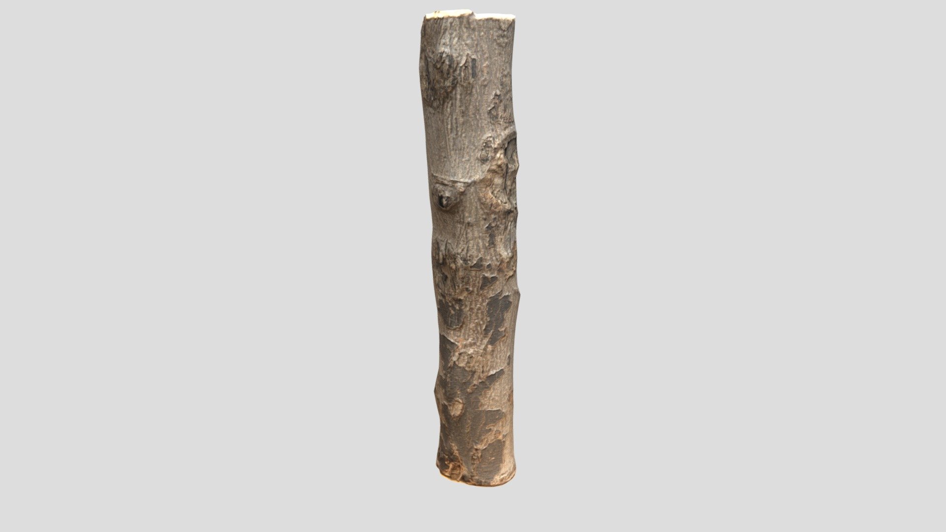 Tree Stump Retopology 3D Model - 3D model by InuLab (@thethanhcg ...