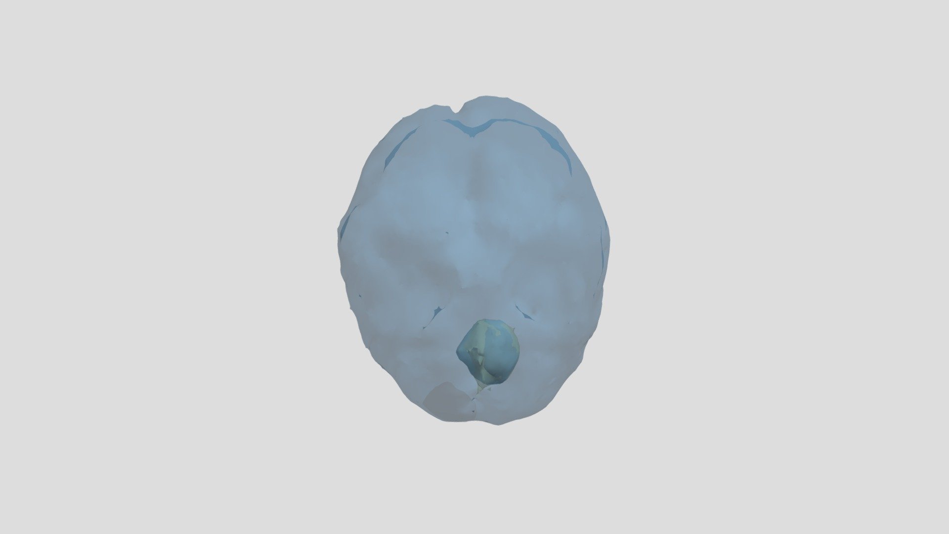 Segmentation - Download Free 3D model by brianad [1dbf521] - Sketchfab