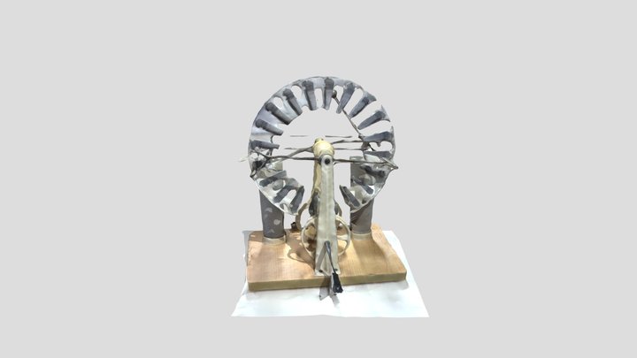 Electrostatic 3D models - Sketchfab