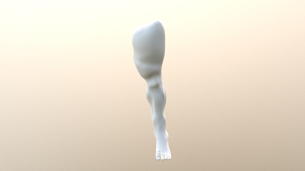 Leg - 3D model by donnelune [1dcd0ab] - Sketchfab