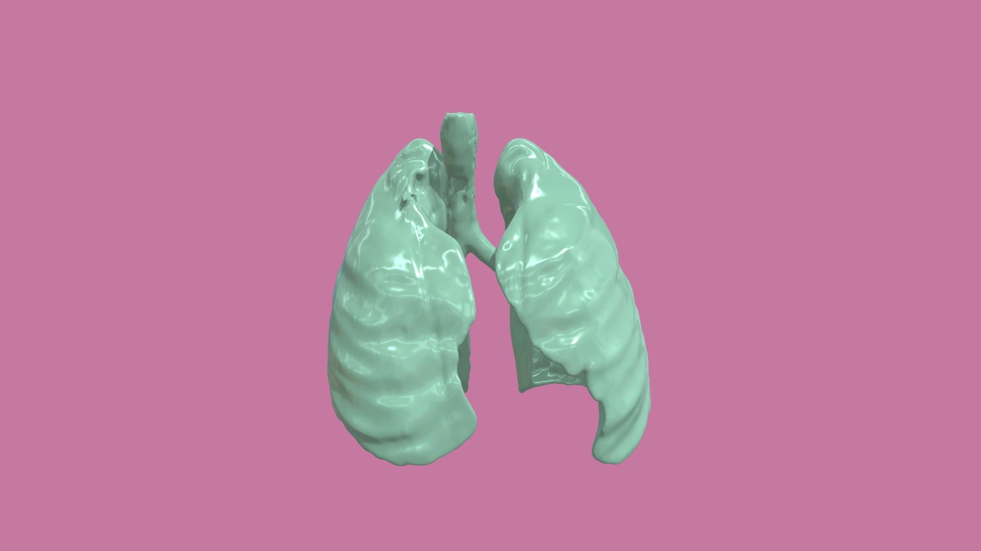 Segmentation_lungs - 3D model by madi (@madissone) [1dcd7ab] - Sketchfab