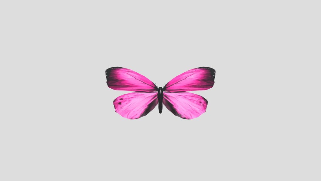 butterfly - A 3D model collection by 9jee19 - Sketchfab