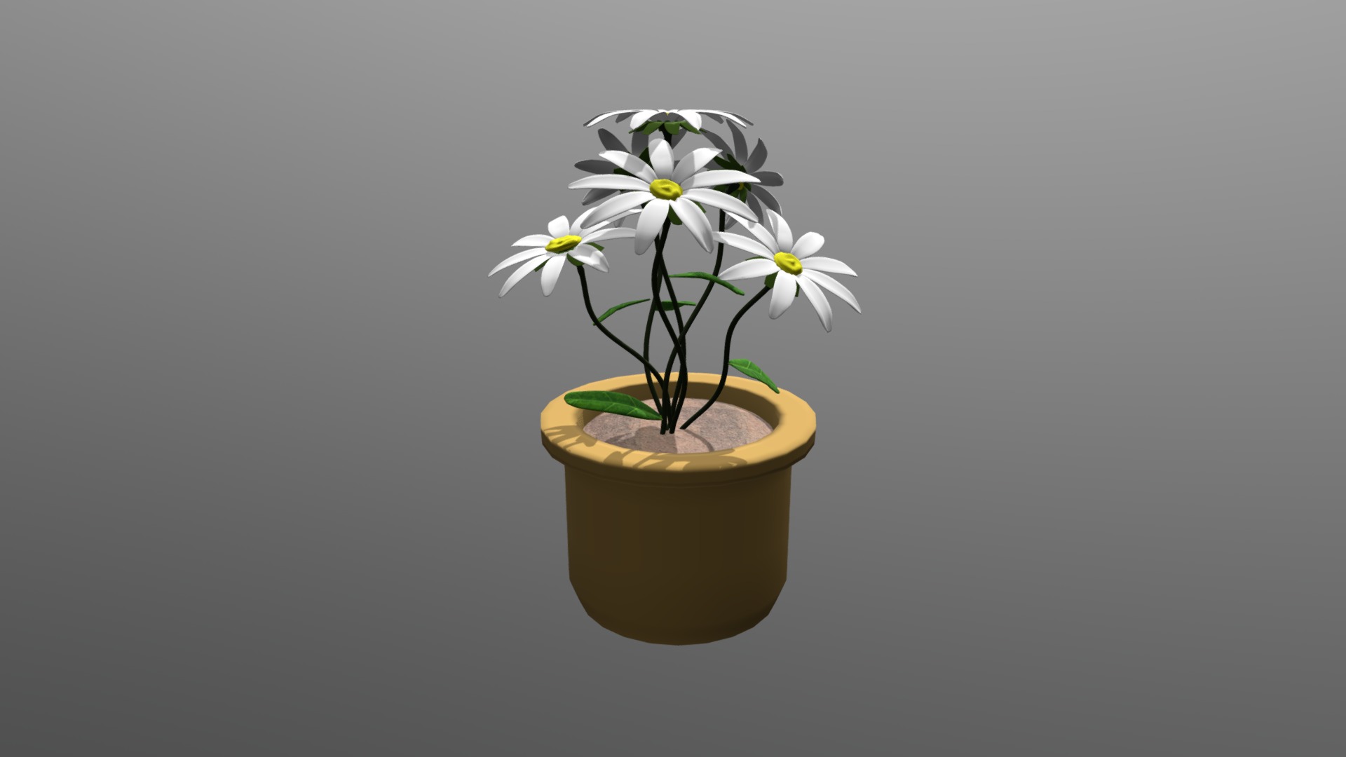 Daisies - 3D model by aboardm [1dd4893] - Sketchfab