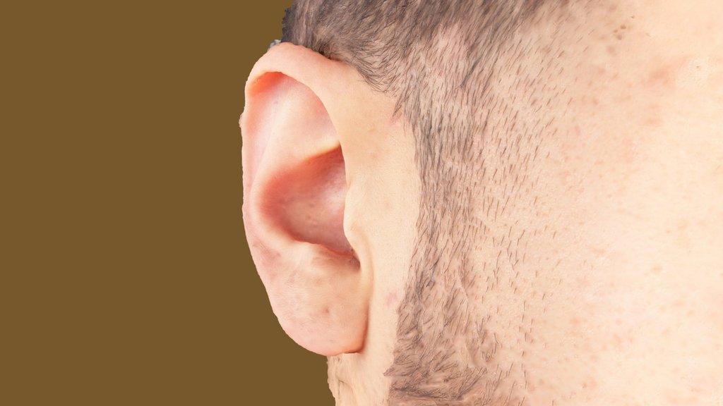 Head Features - A 3D model collection by ic (@iborco) - Sketchfab