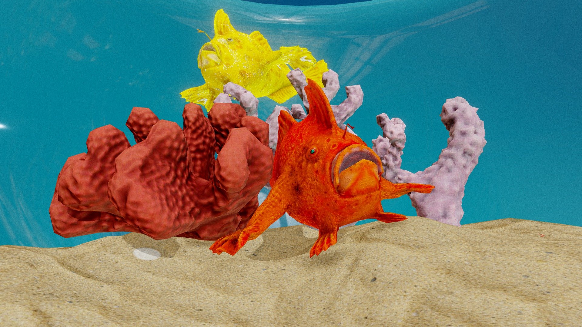 Handfish_tank - 3D model by DORAGM [1de52c9] - Sketchfab