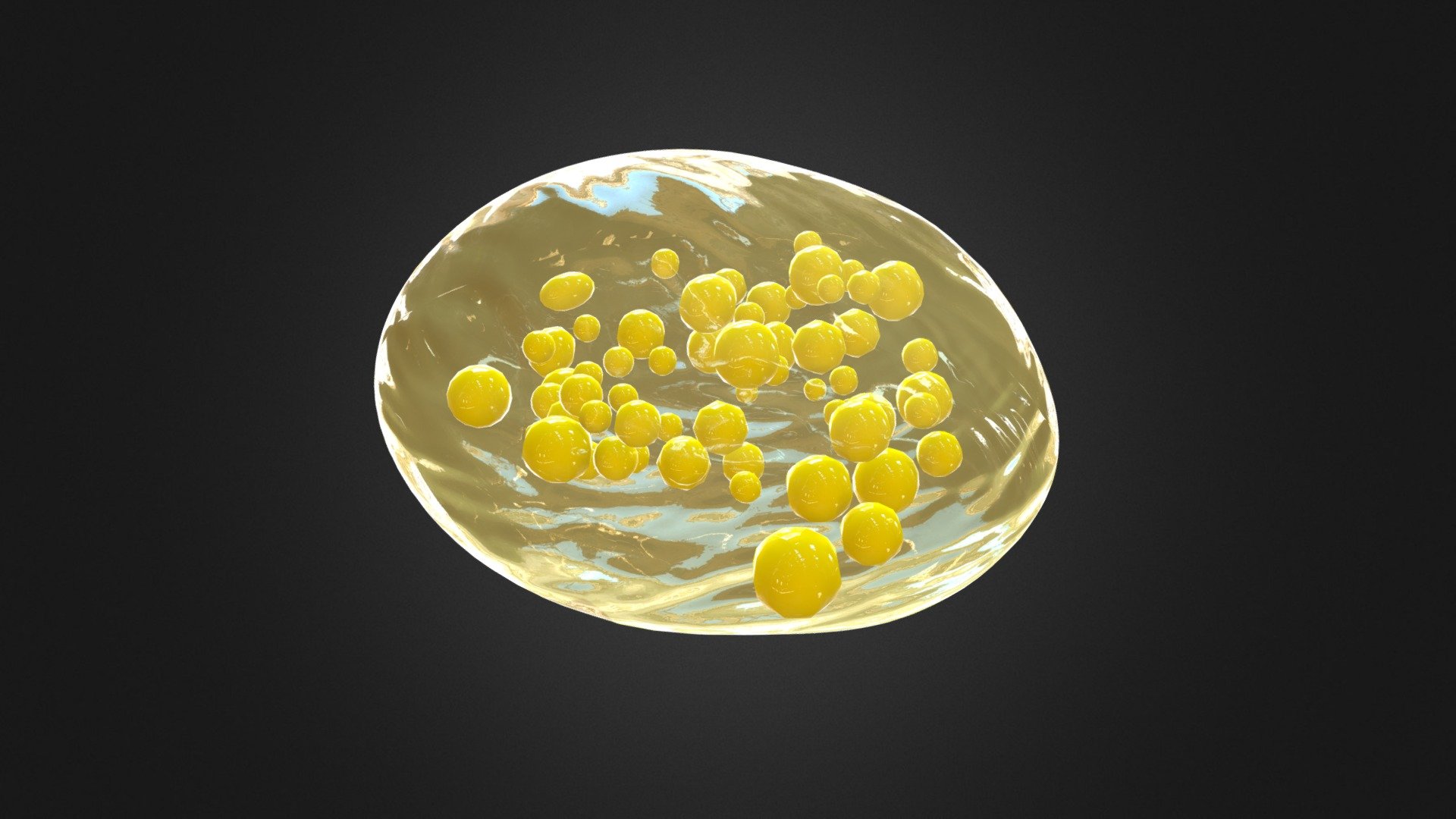 The Lysosome 3D Model By XReady Lab xreadylab 1de81ad Sketchfab the-lysosome-3d-model-by-xready-lab-xreadylab-1de81ad-sketchfab