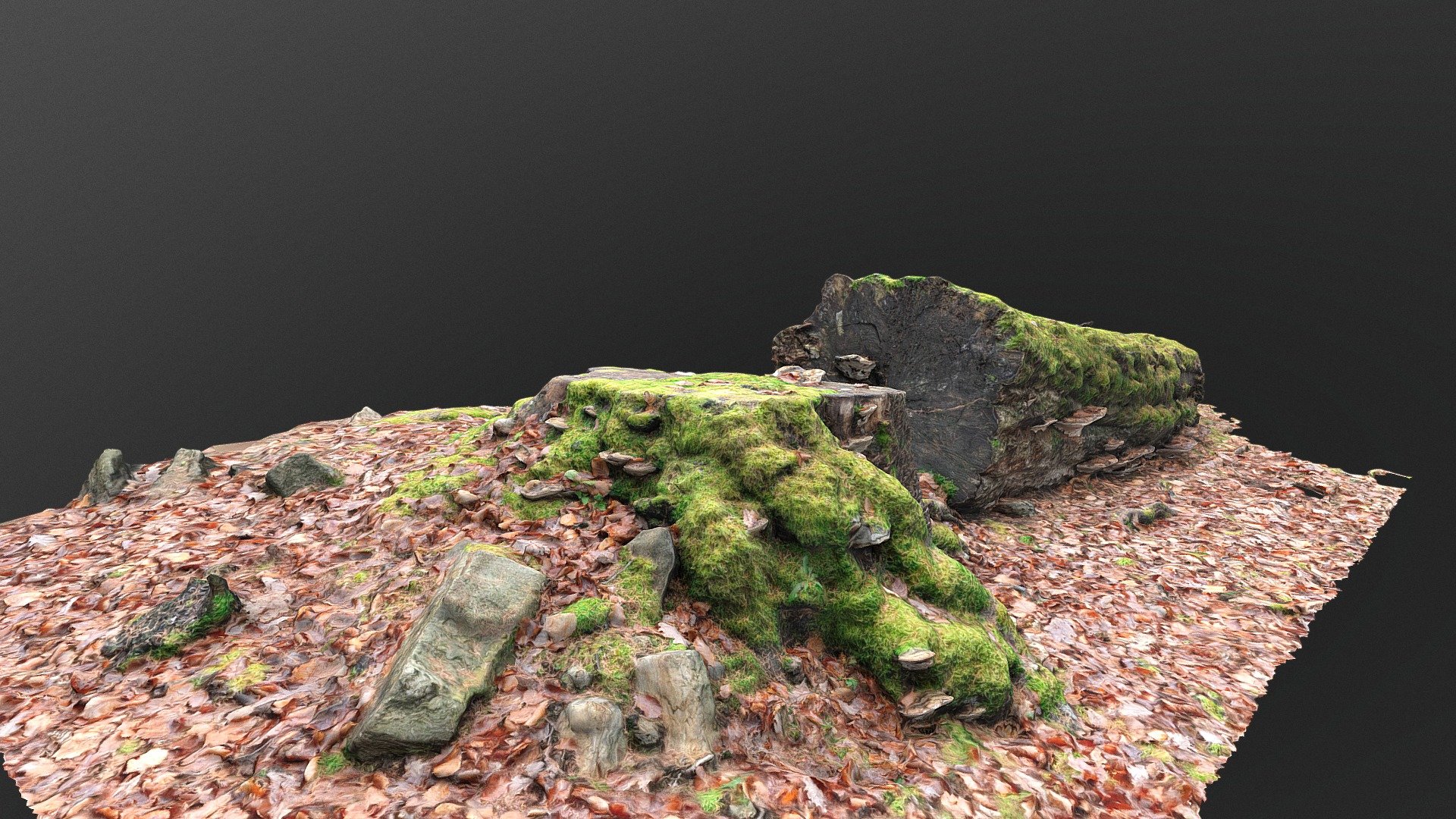 Old fallen tree - Buy Royalty Free 3D model by kubacpetr [1df101e ...