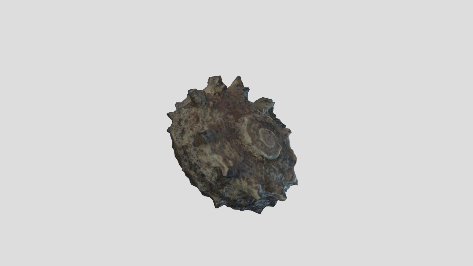 SEASHELL_3 - Buy Royalty Free 3D model by Phil Mist (@GeneSalad ...