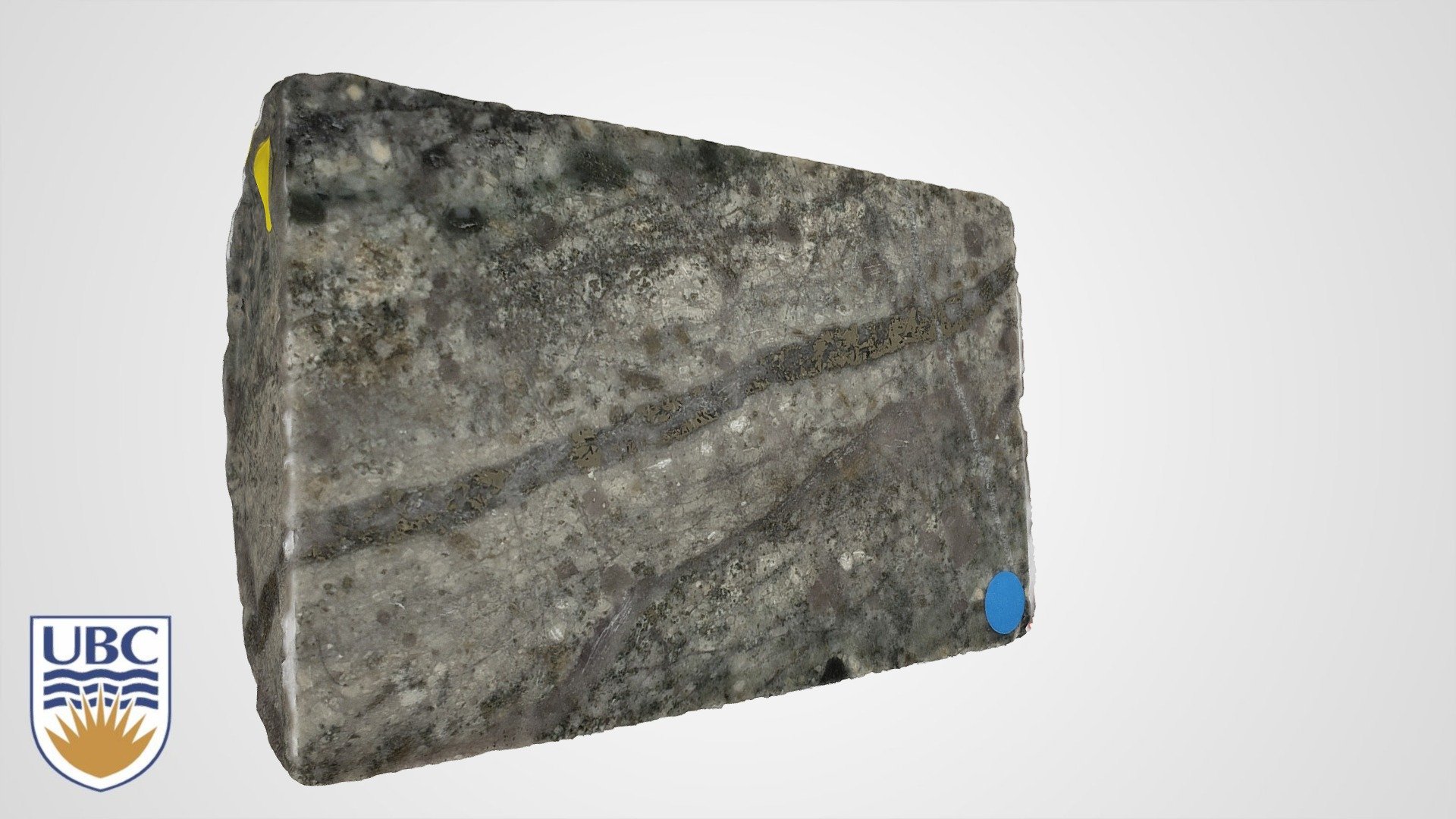 H14-RD44-245A (biotite porphyritic dike) - 3D model by Nichole Moerhuis ...
