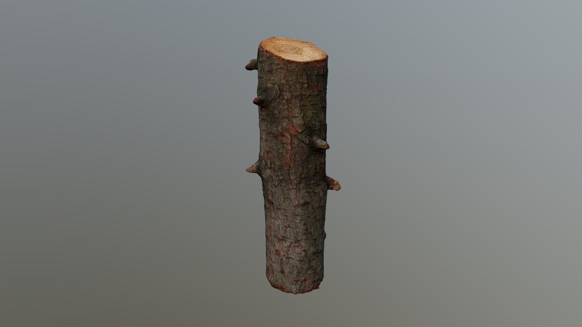 Log #3 - Download Free 3D model by vincurek.f [1dfb913] - Sketchfab