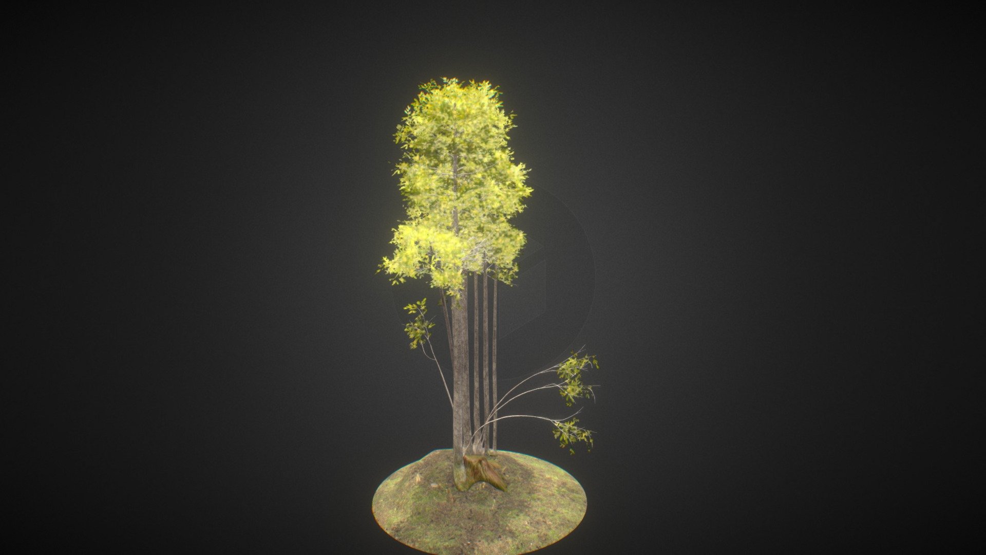 Elder ENT Queule5 Replica - 3D model by endangeredtokens [1e004c9 ...
