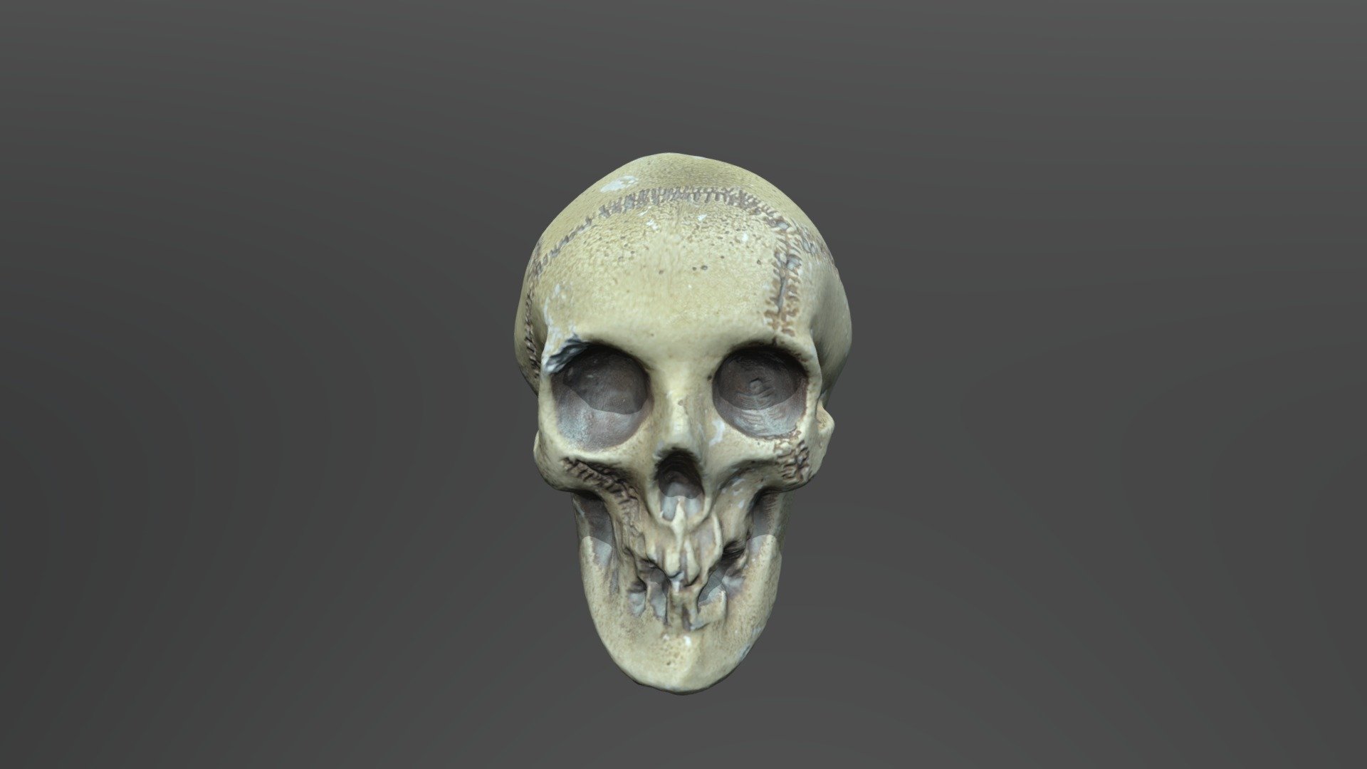 kamil - skull project - 3D model by Kamilturjman [1e0e0cd] - Sketchfab