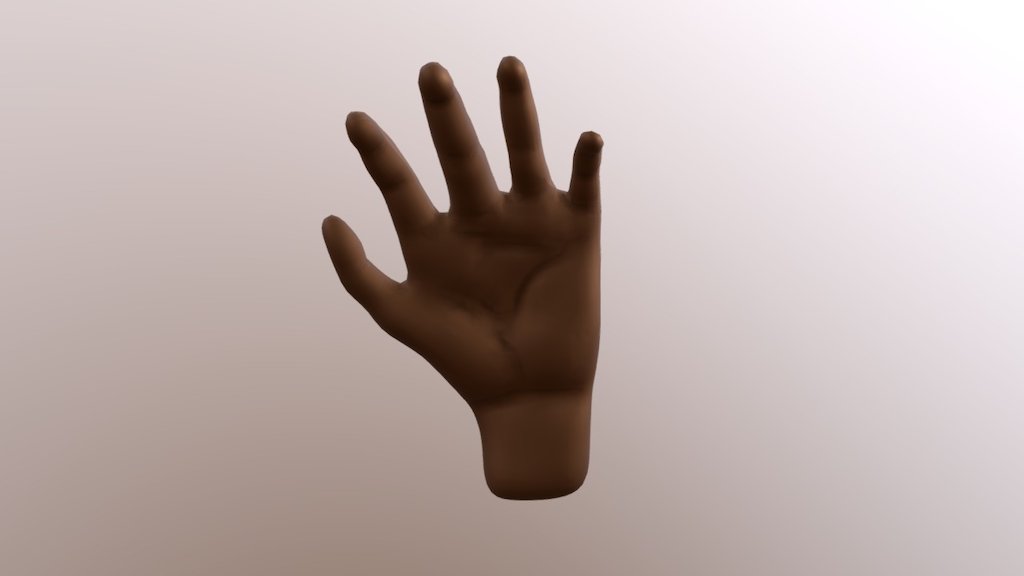 Hand - 3D model by caiquessena [1e0e9b5] - Sketchfab
