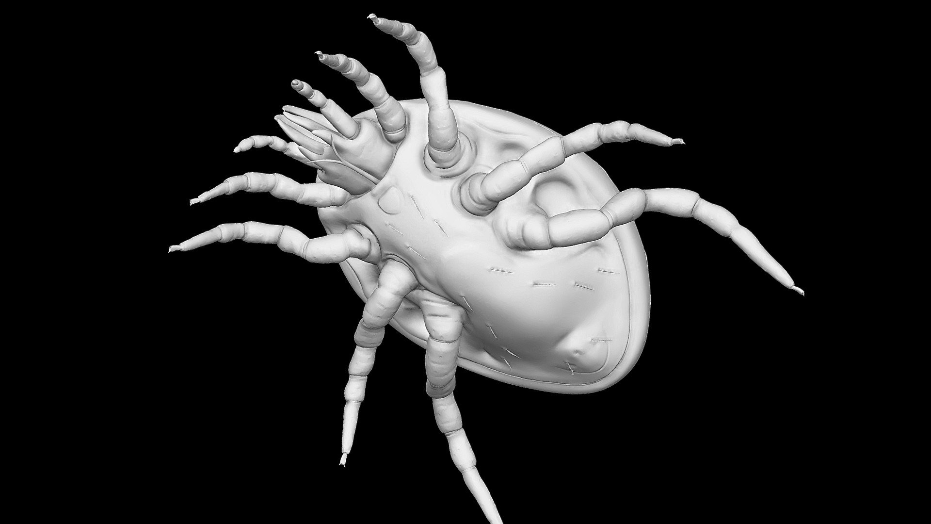 Mesostigmata - Download Free 3D model by tunosemi [1e0ef06] - Sketchfab