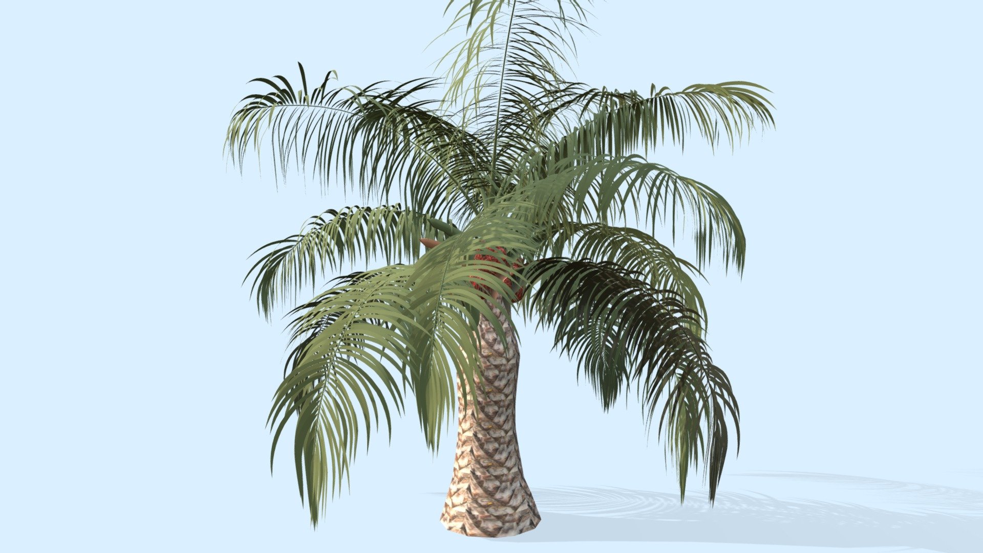 Tropical Oil Palm tree - Buy Royalty Free 3D model by Wandi Amin ...