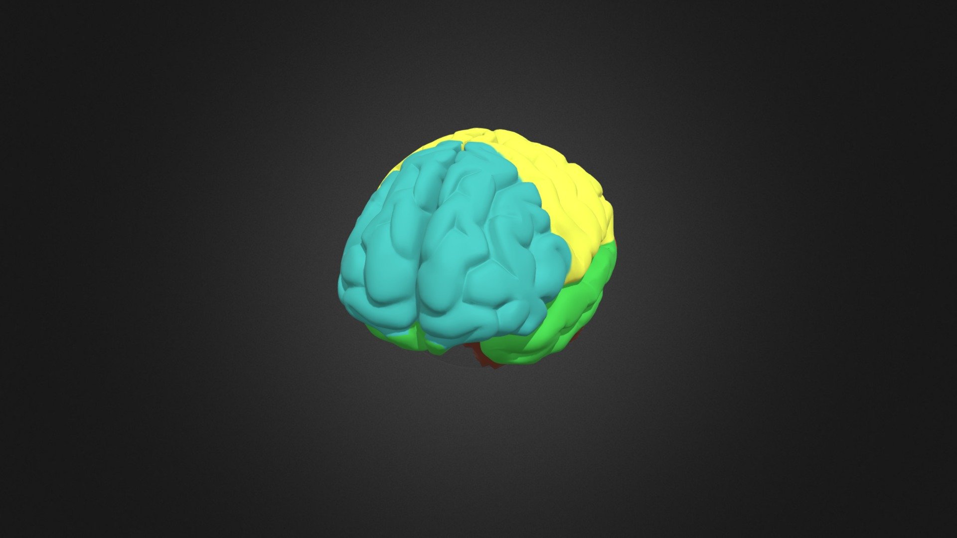 Encefal - 3D model by Feraru Gabriel (@FeraruGabriel) [1e1551a] - Sketchfab
