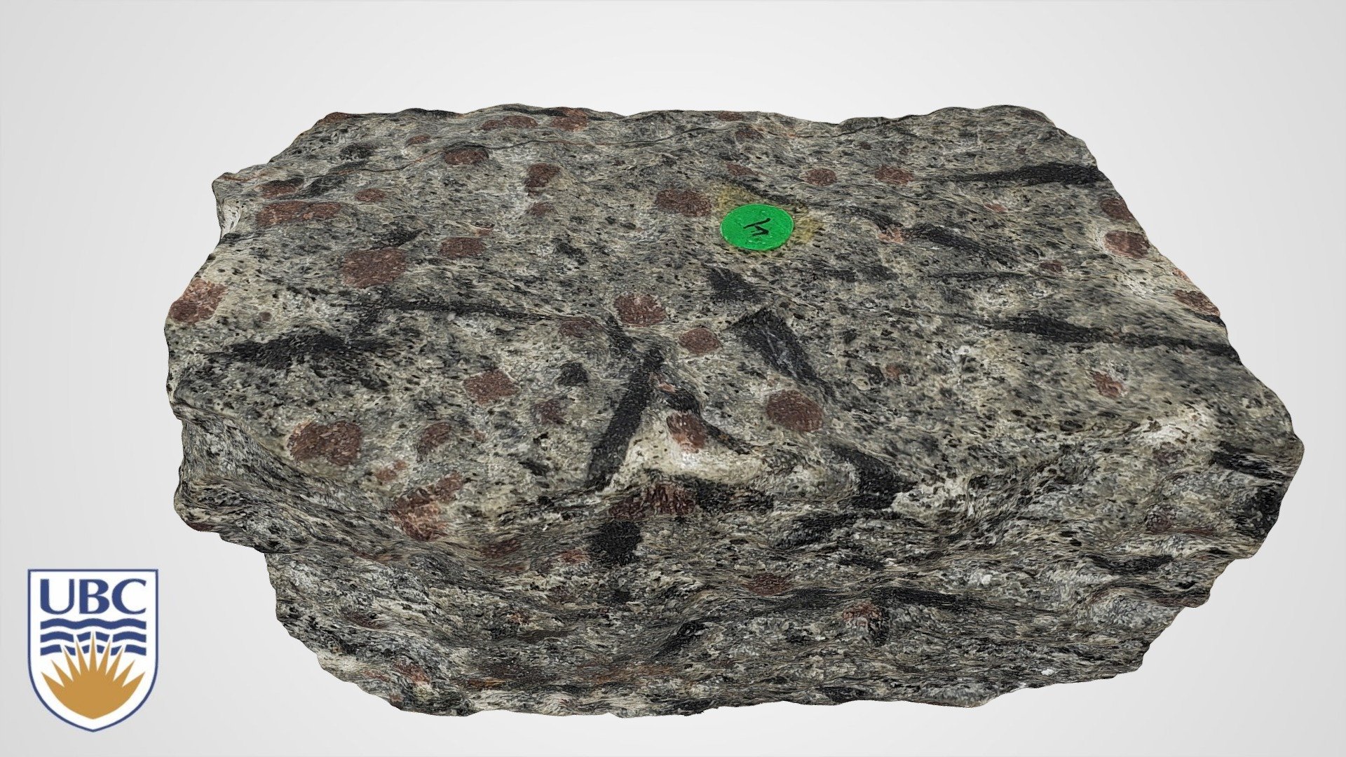 Amphibolite - 3D model by Nichole Moerhuis (UBC Geology) (@Moerhuis ...