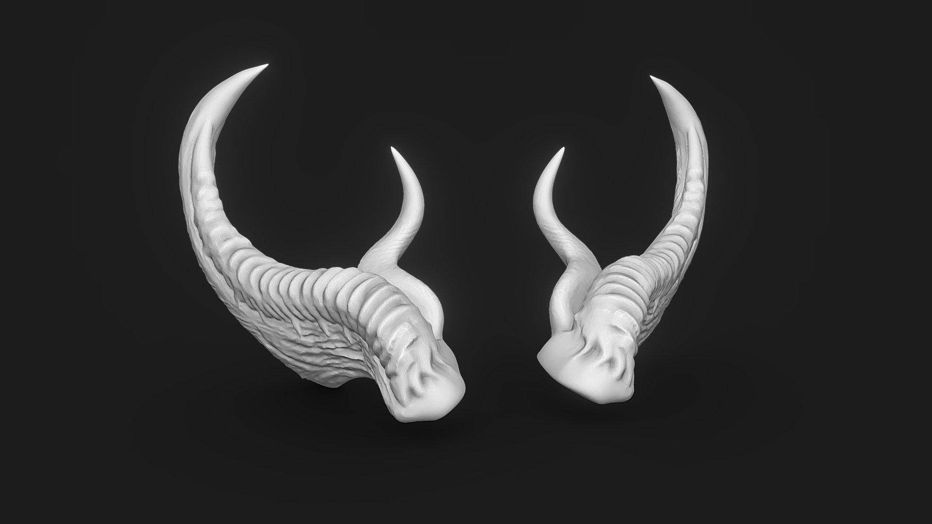 Double Horns - Buy Royalty Free 3D model by Alexandria Maharaj ...