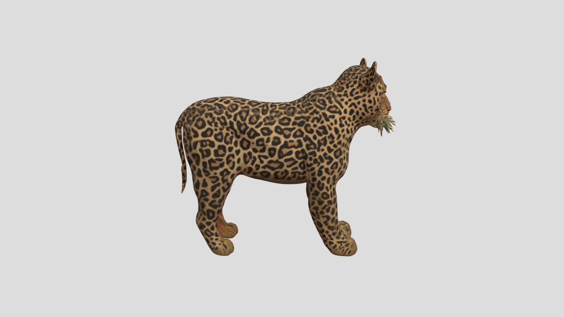 200d44e9-fe08-4c84-a946-f6bde89b7235 - Download Free 3D model by ...