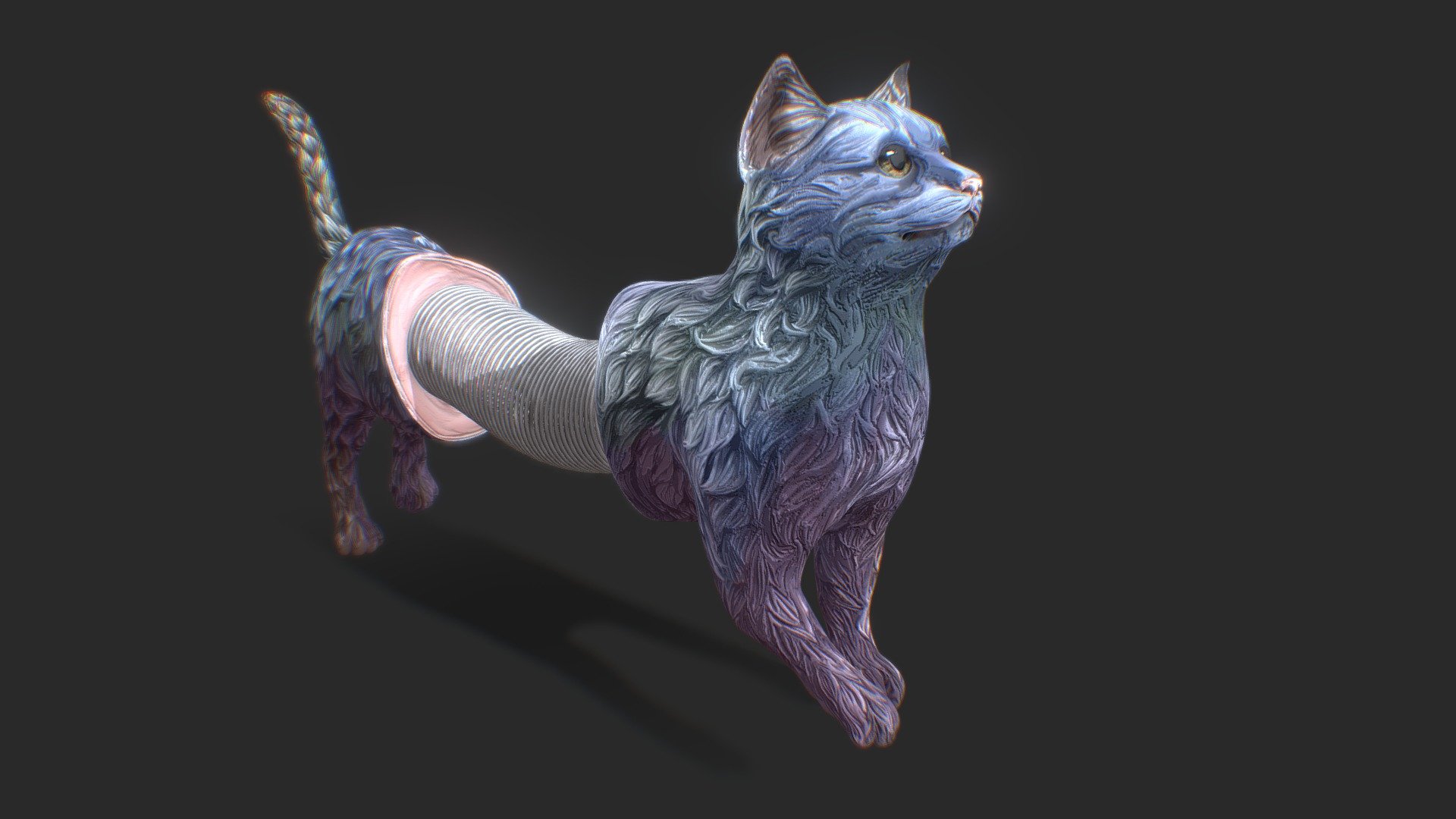 Slinky cat - Download Free 3D model by forestowner [1e2885f] - Sketchfab