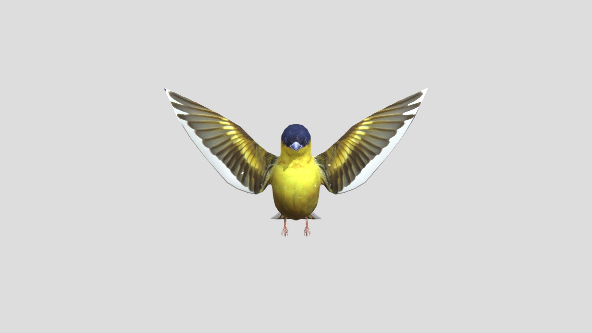 bird1 - 3D model by qaws96180567 [1e30659] - Sketchfab
