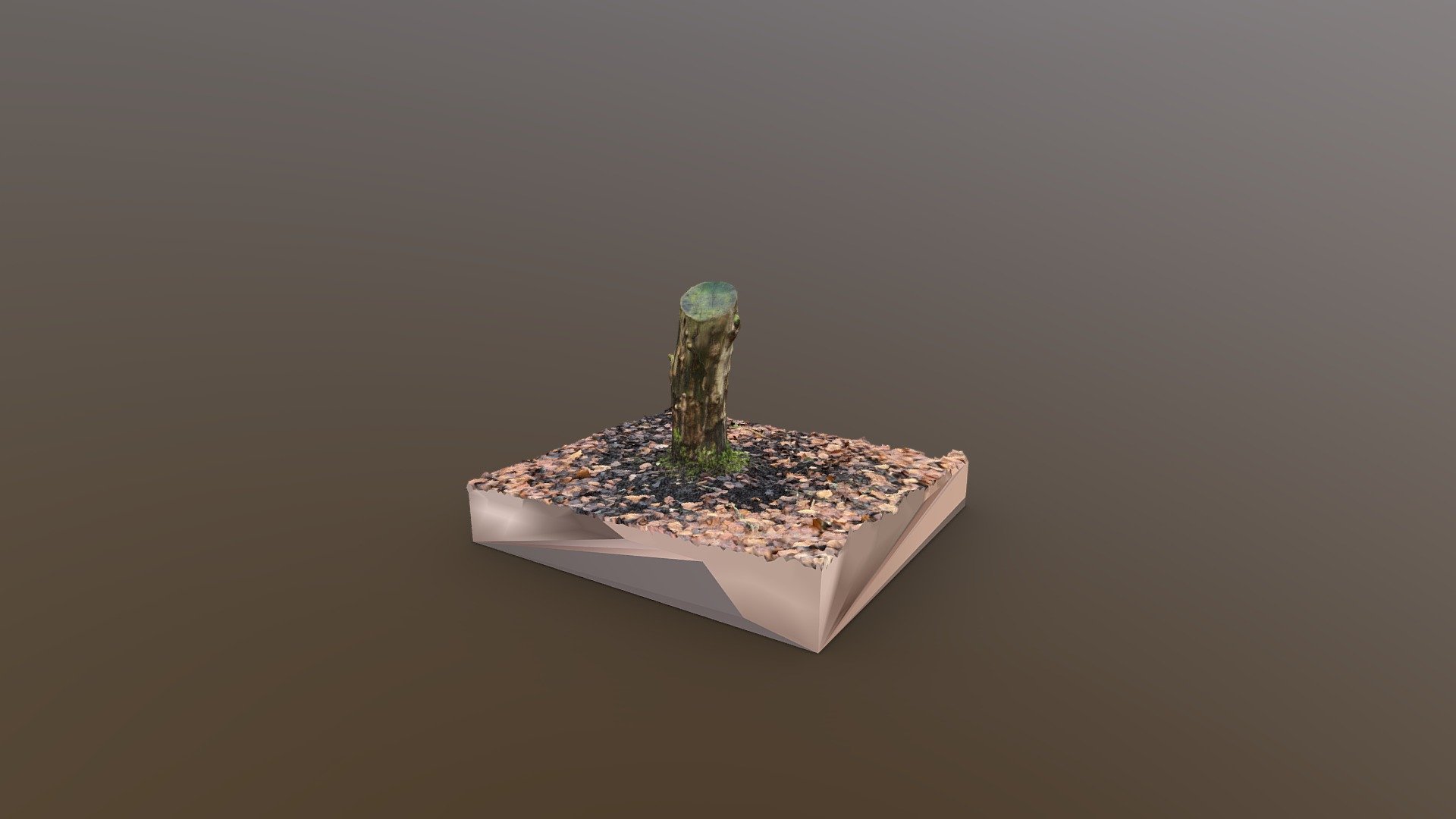 tree stump - 3D model by elms64 [1e350d3] - Sketchfab