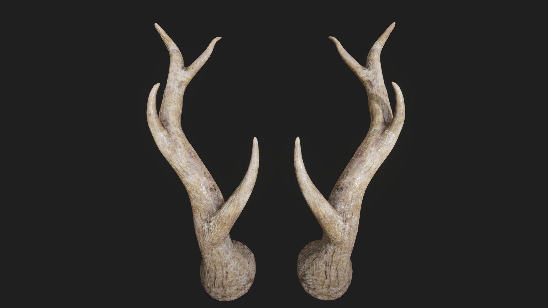 Deer Antlers - 3D model by Robert Holtby (@robholtby) [1e3e0a3] - Sketchfab
