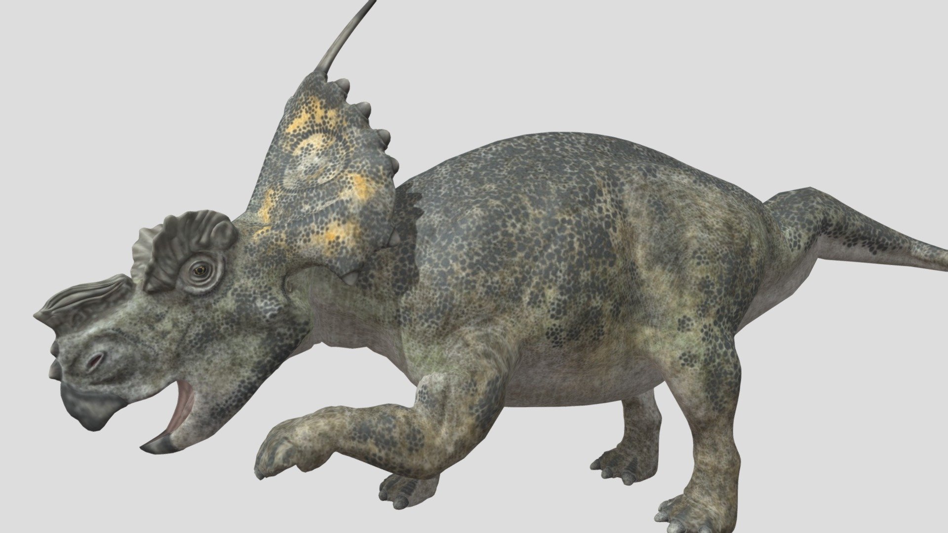 achelousaurus - Download Free 3D model by seth the yutyrannus ...