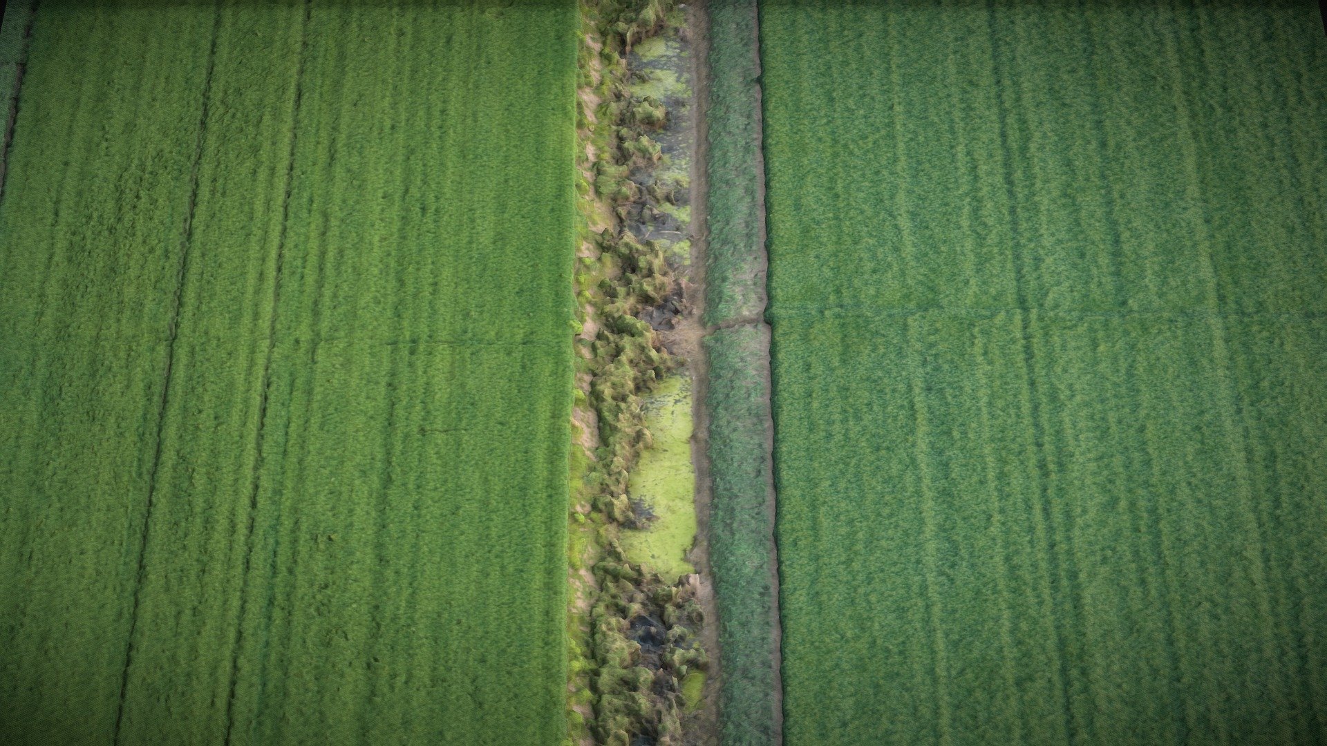 Farmland and irrigation canal - Download Free 3D model by Metazeon ...