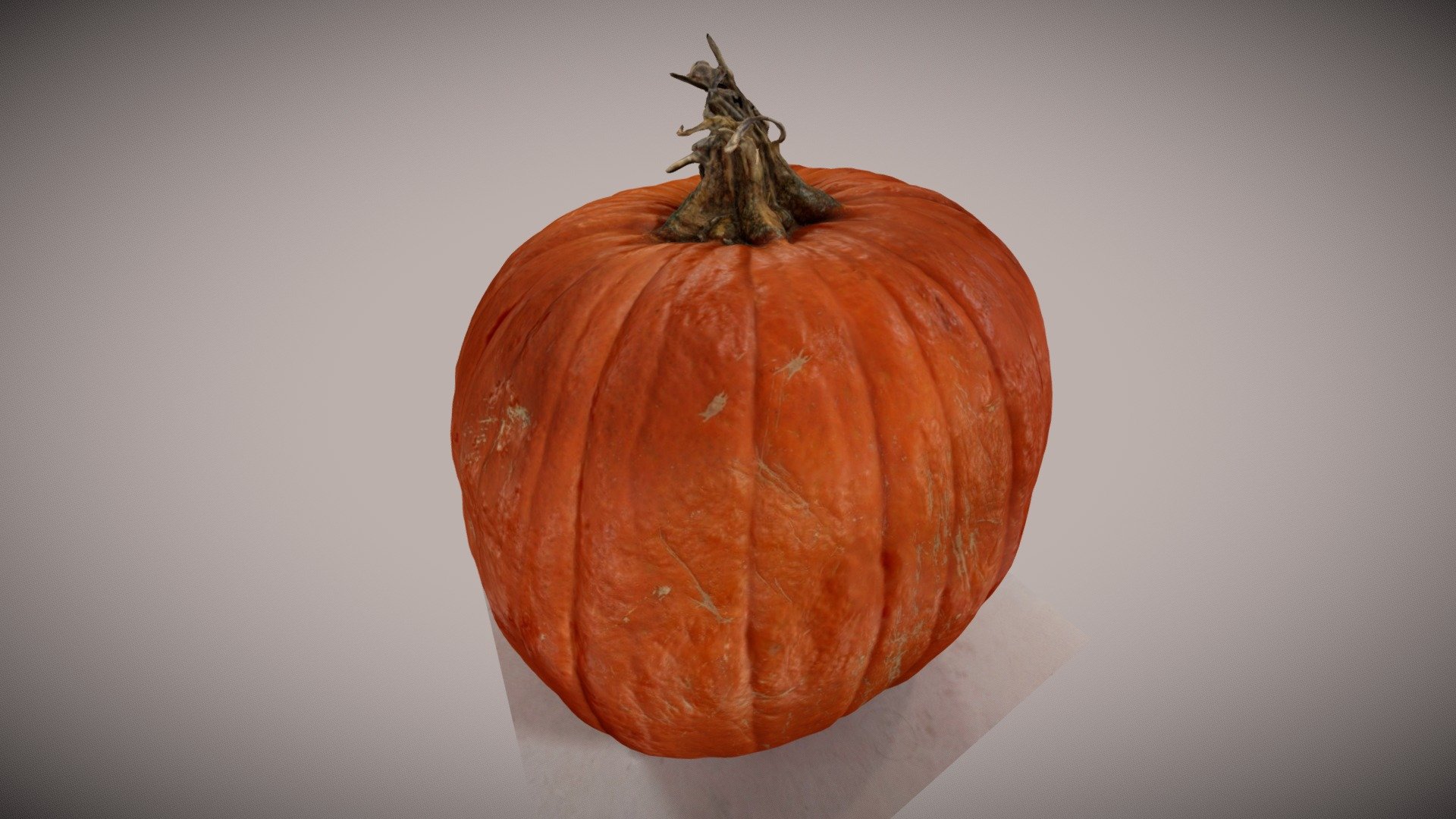 Pumpkin 2 - Buy Royalty Free 3D model by sebel (@sebelz) [1e71966] - Sketchfab Store