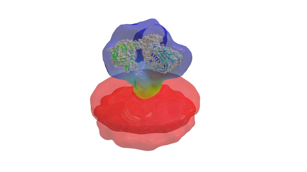Molecular, Protein and Cellular Structures - A 3D model collection by ...