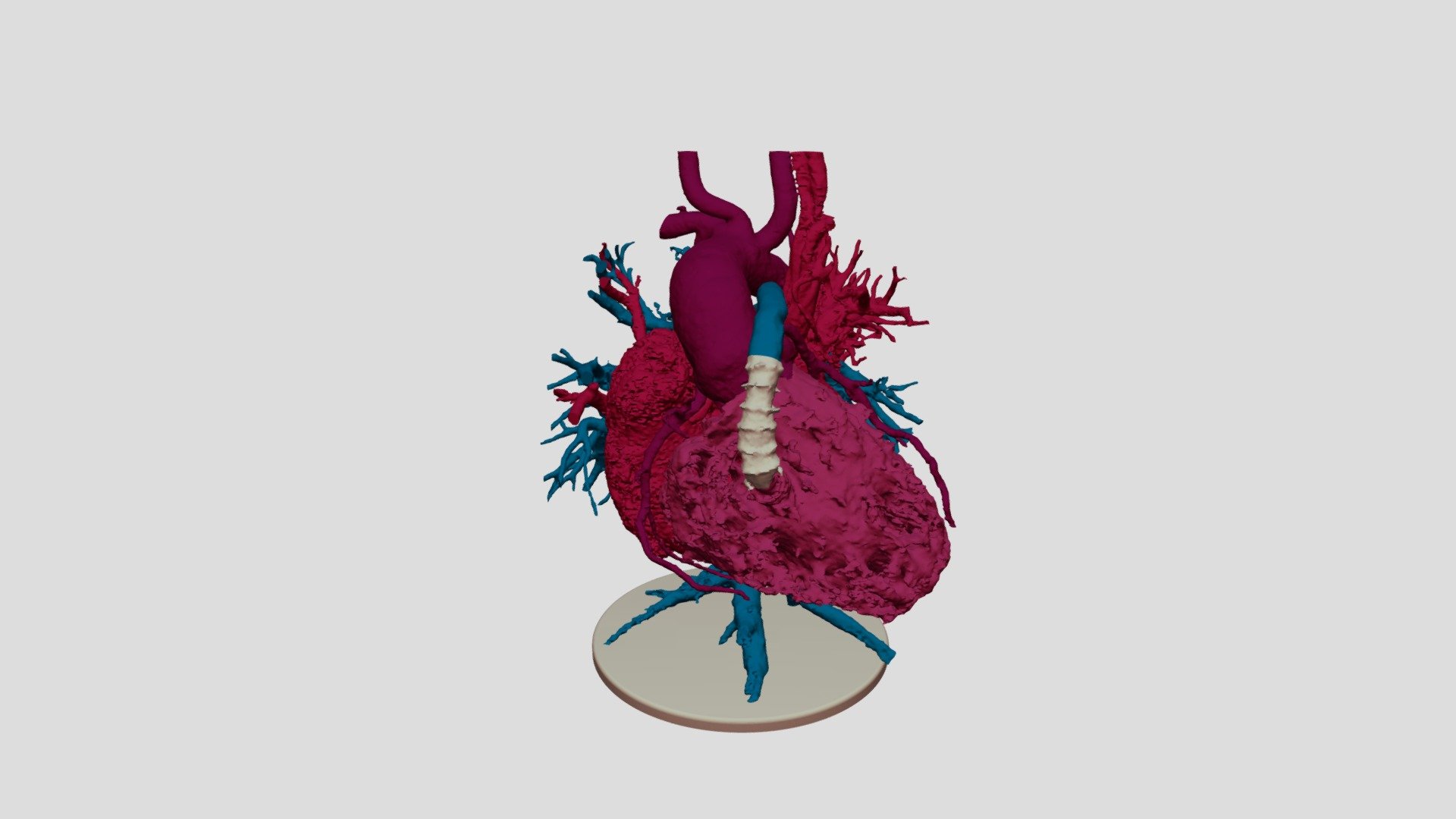 G15 - 3D model by NCH Advanced Projects Laboratory (APL) [1e77c49 ...