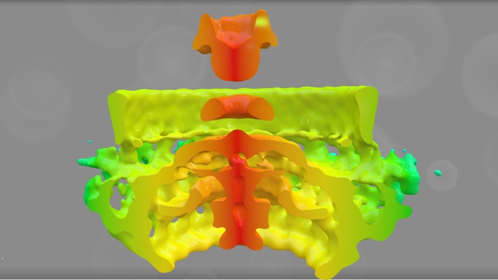 UCSF-Chimera / Sketchfab Cross Section Test - 3D model by Interactive ...
