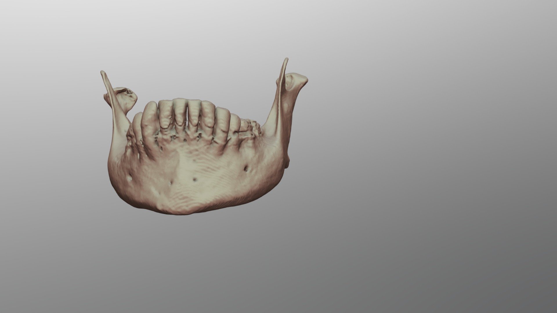 Mandible - 3D model by missmaxface [1e7a2c4] - Sketchfab