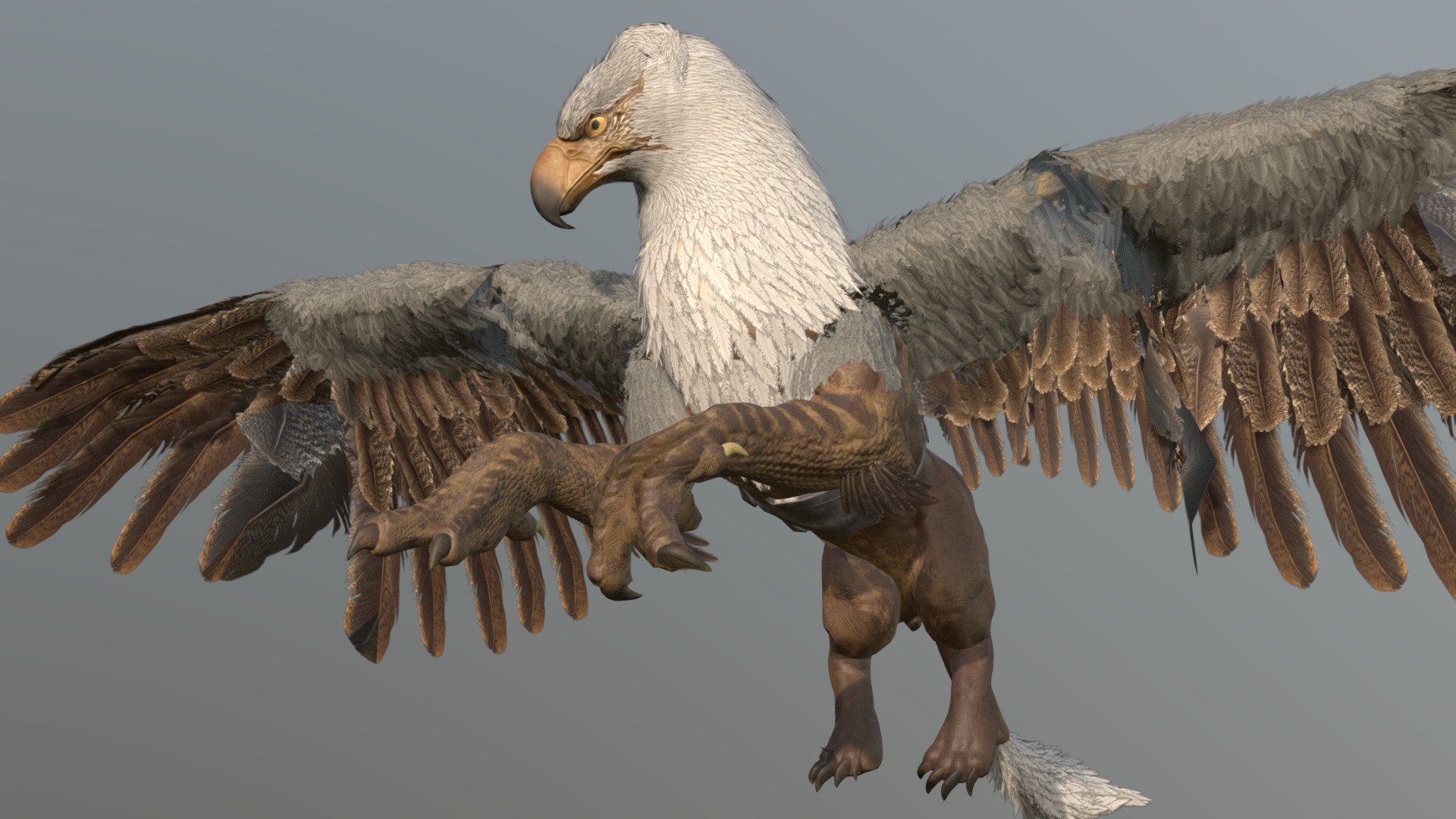 Griffin animated - 3D model by monstermod [1e7d350] - Sketchfab