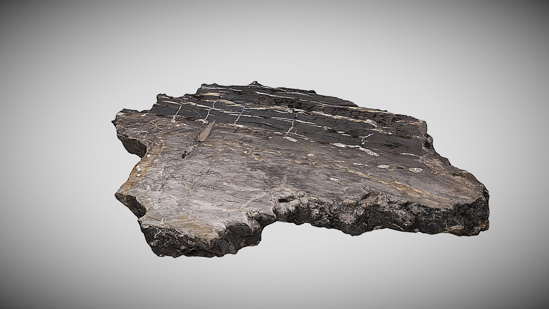 K-PG Boundary Shale Not Labeled - Download Free 3D model by Boston ...