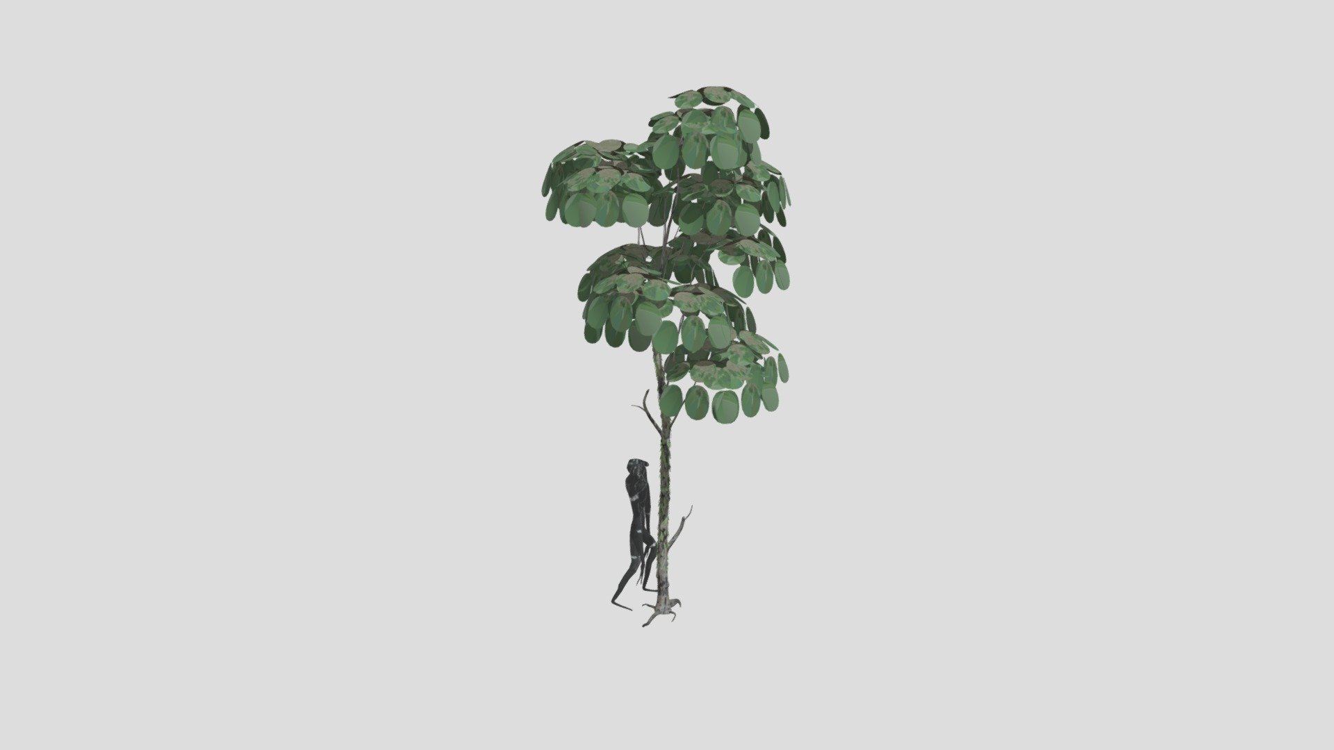 RMIT_QUINKIN_SPIN - Download Free 3D model by keith.hibbert99 [1e8bf4c ...