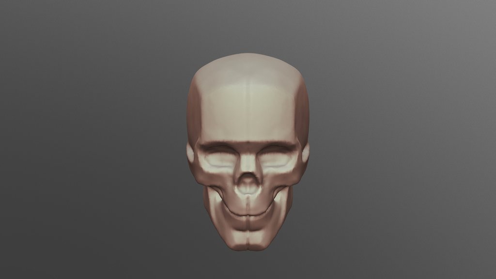 Head Drawing Reference - A 3D model collection by iamSpacedad - Sketchfab