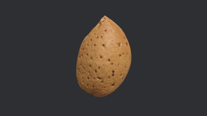 Almond 3D models - Sketchfab